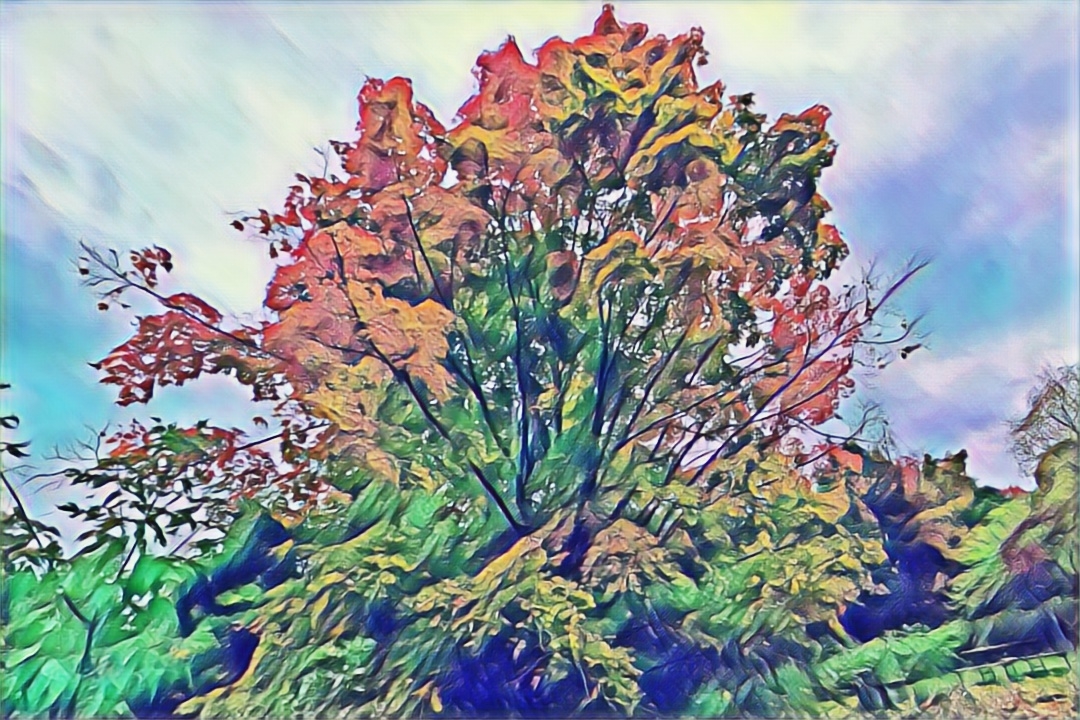 Mystical Experience Questionnaire (MEQ-30) - Psychedelic Support Coach