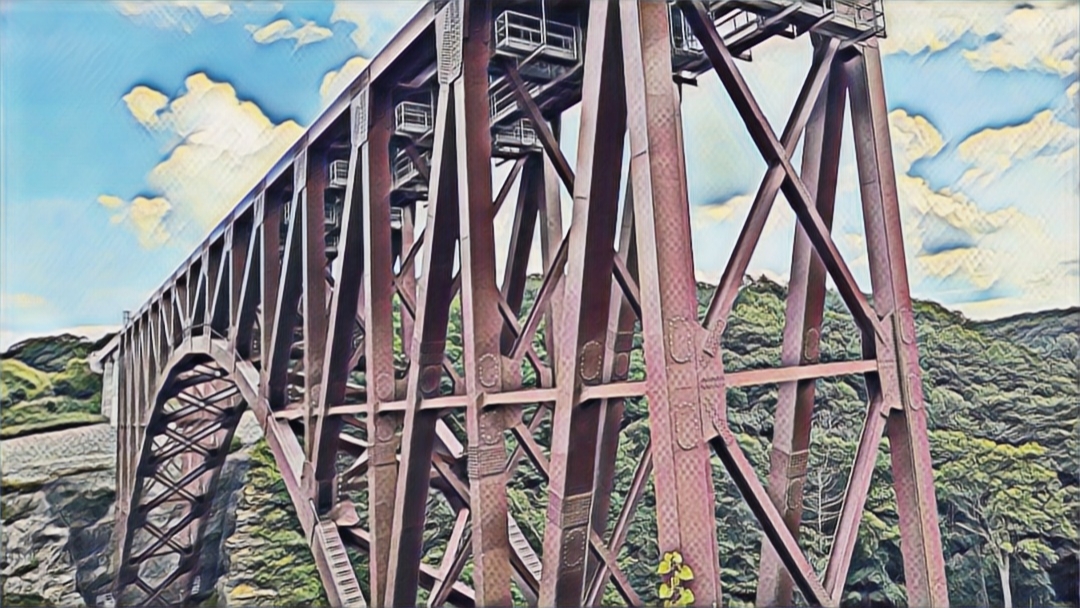 Psychedelic Support | Overview & Cost